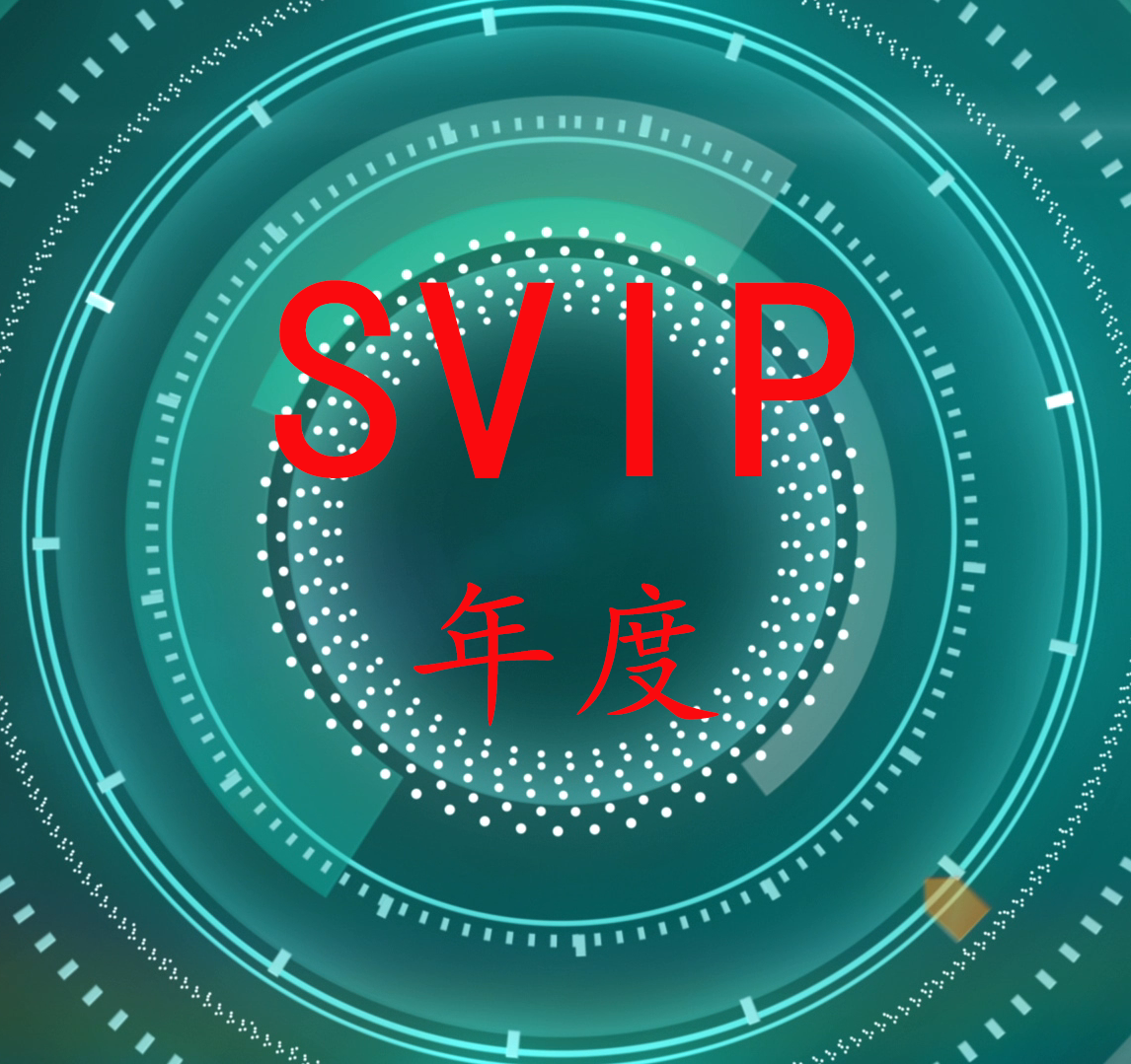 SVIP年度资格 - 智者同行FinSages